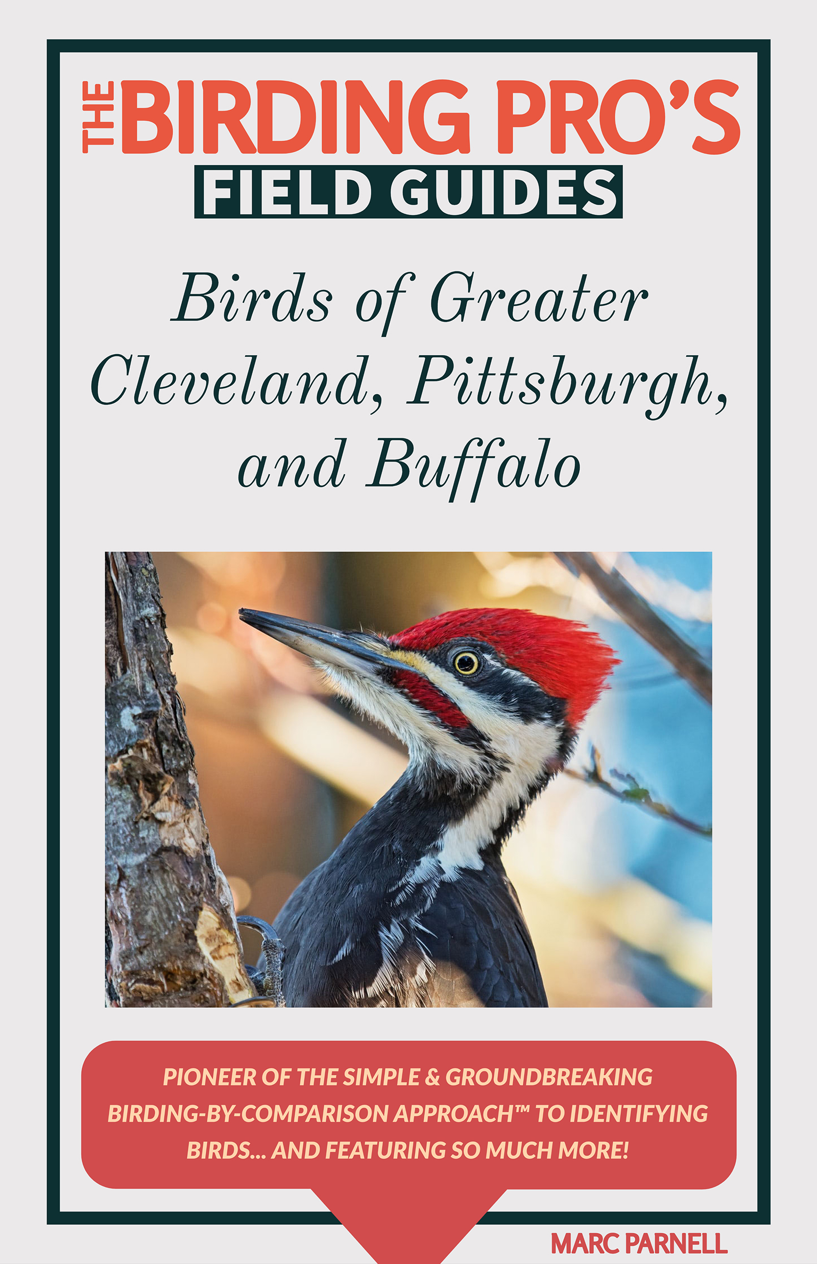 Photographer, author appreciates avian wildlife | News, Sports, Jobs ...